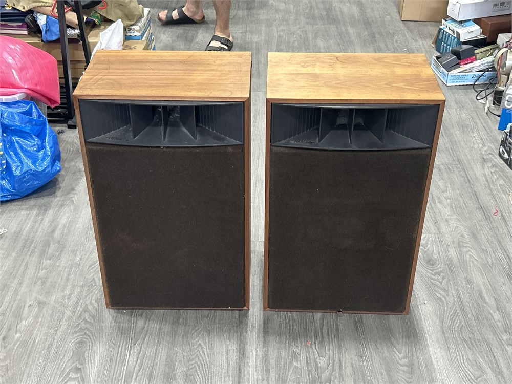 Urban Auctions - 2 REALISTIC MACH ONE SPEAKERS (29” tall)