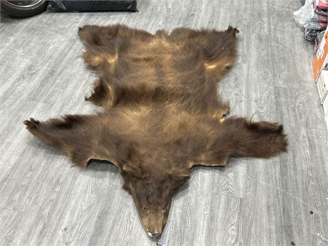 Urban Auctions - BEAR PELT (6ft long)